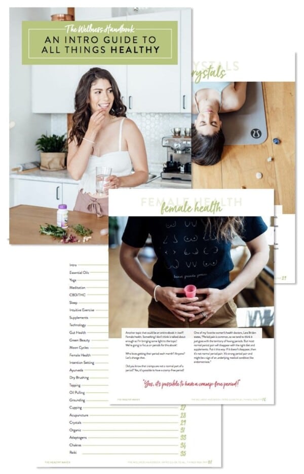 The Wellness Handbook: An Intro Guide - The Healthy Maven