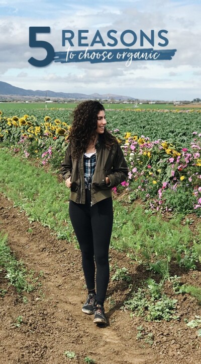 5 Reasons to Choose Organic - The Healthy Maven