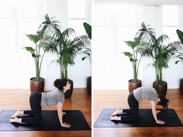 7 Yoga Poses for Stress Relief - The Healthy Maven