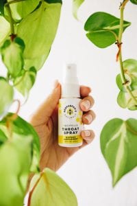 What's the Deal with Propolis? [Benefits, Uses, Dosage] - The Healthy Maven