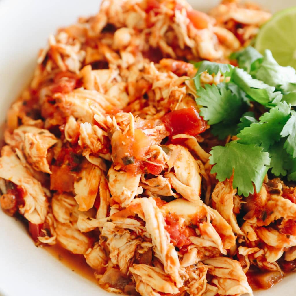 Instant Pot Salsa Chicken [2 Ingredients!] - The Healthy Maven